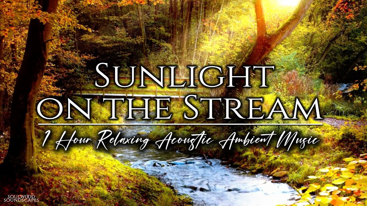 1 Hour Relaxing Acoustic Ambient Music - Sunlight on the Stream ...