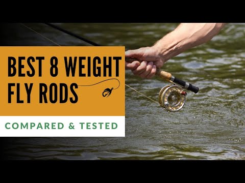 Best 8 Weight Fly Rods in 2023 - Into Fly Fishing