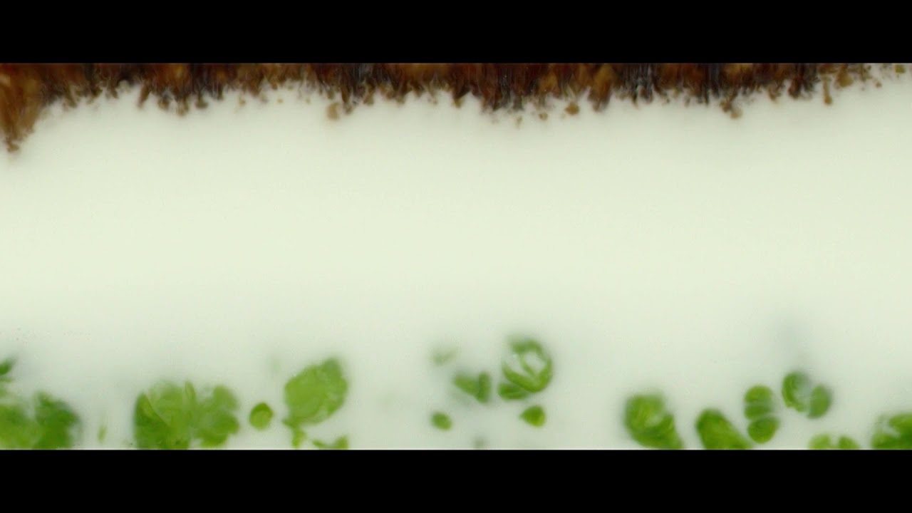 STARBUCKS MATCHA & EXPRESSO FUSION ONLINE - YouTube