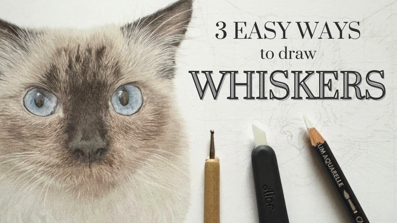 How to Draw Whiskers | 3 Ways to Achieve Realistic Whiskers for your ...