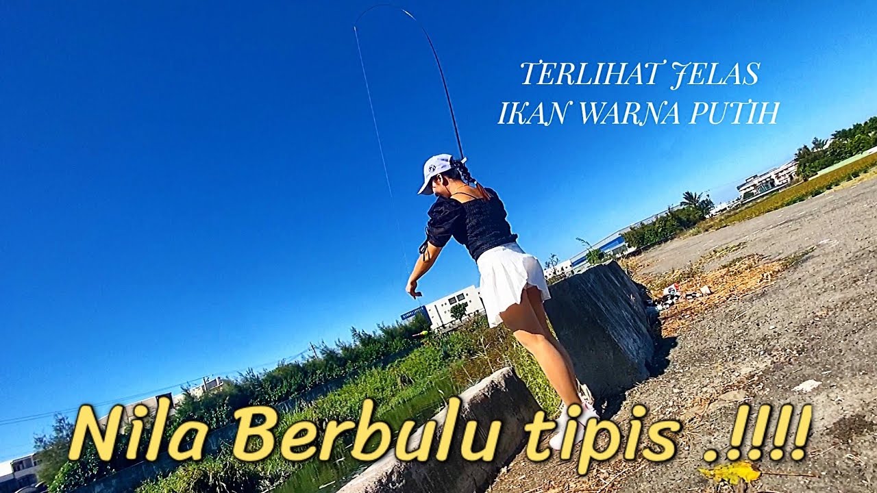 Mancing cantik ,Mancing ambyar mancing ikan nila / Fhising mania - YouTube