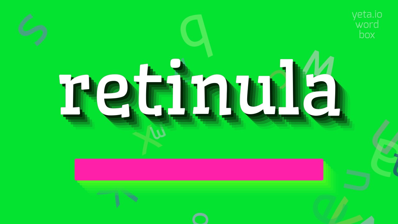 How to say "retinula"! (High Quality Voices) - YouTube