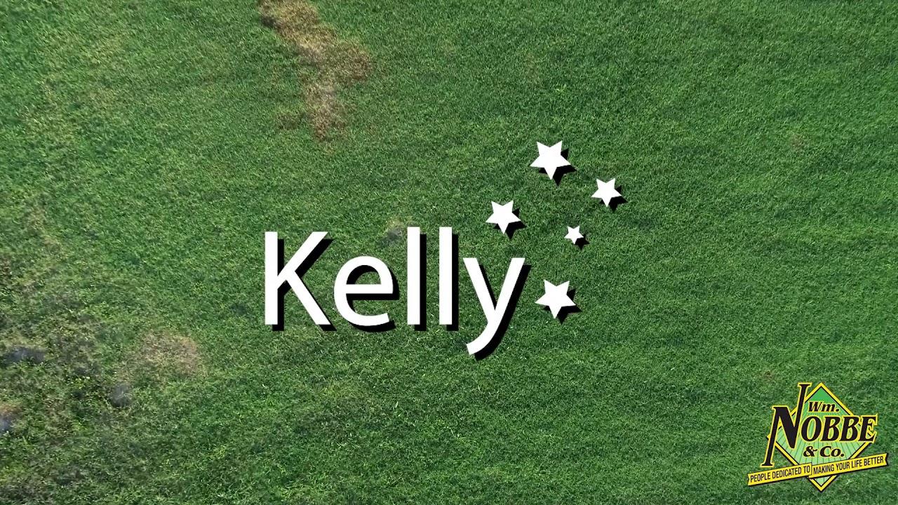 What is the Kelly Tillage System - YouTube
