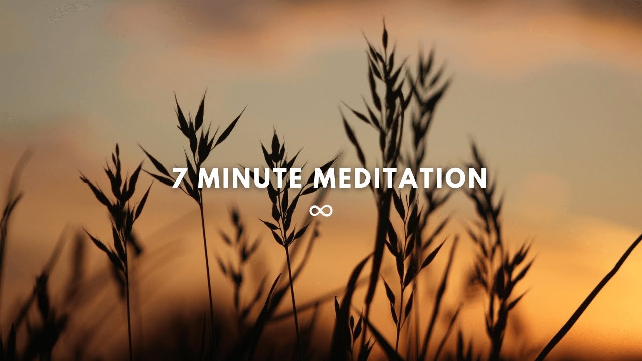 Meditation to calm your mind｜Take a few minutes for a meditation break ...