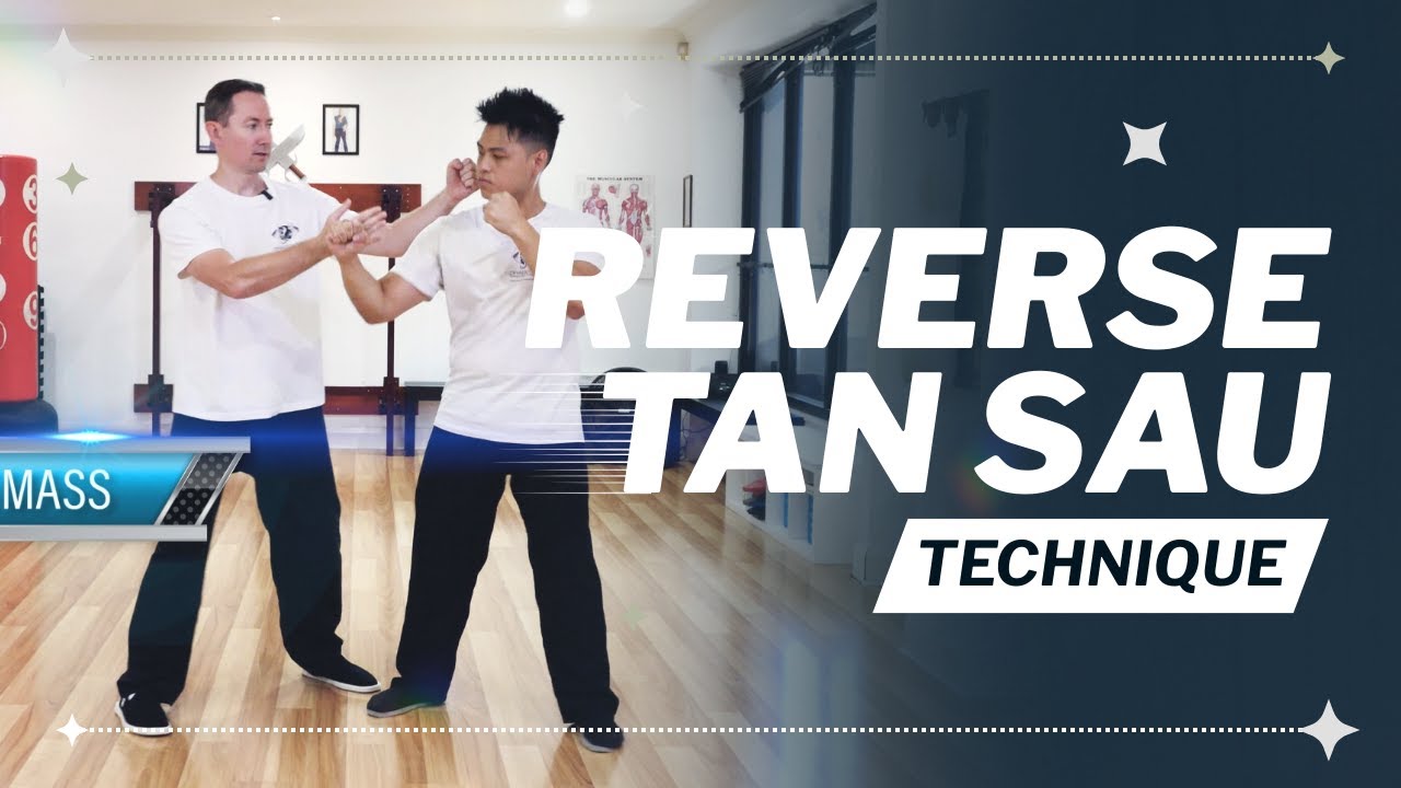 Rev Tan Sau and Strike - Wing Chun Kung Fu Technique - YouTube