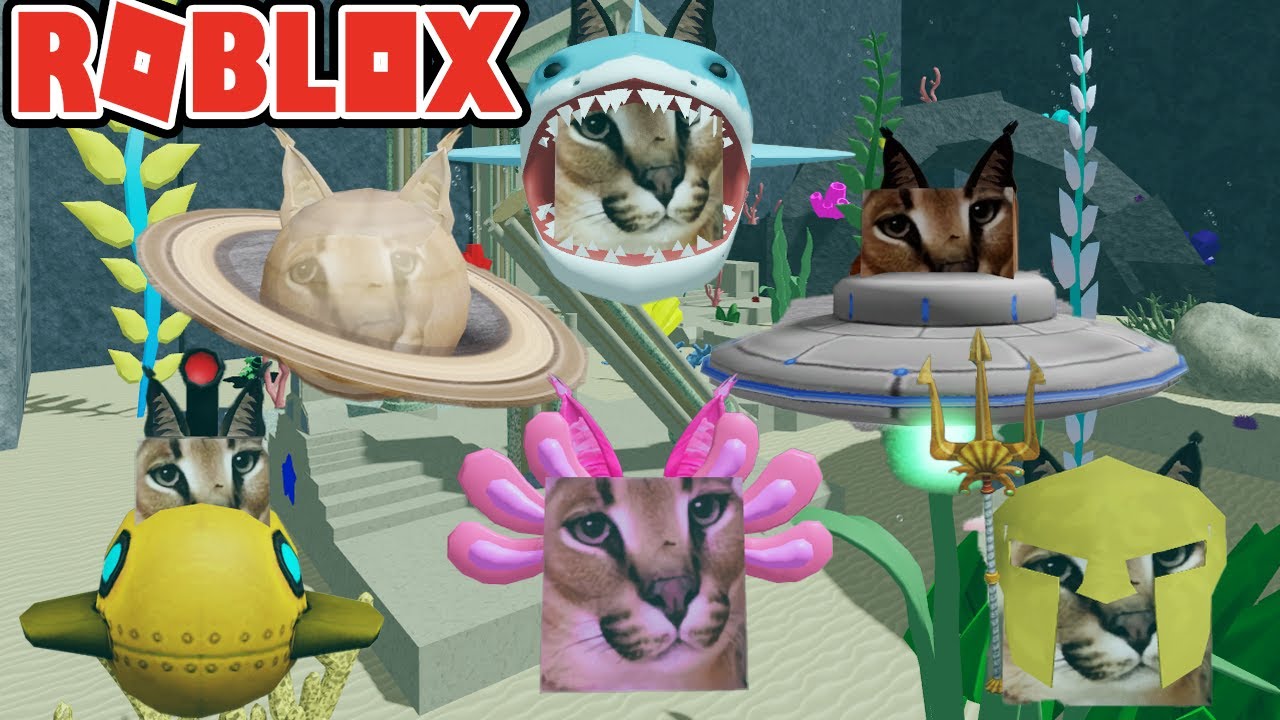 🎉ENCONTRÉ A BABY SHARK FLOPPA y todos los floppas del MAPA DE AGUA ...