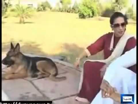 Imran Khan Dog Sheru Annoying Mehar Bukhari - YouTube