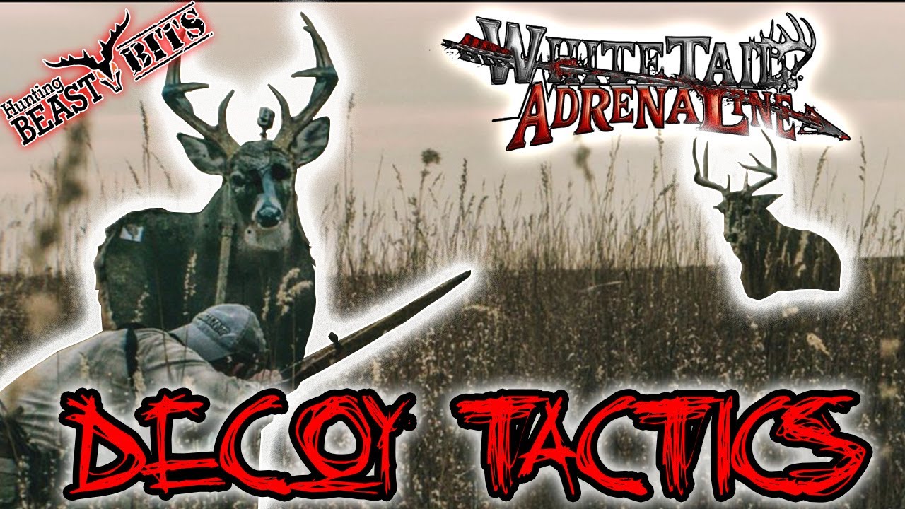 Jared Scheffler Explains Whitetail Adrenaline's Decoy Tactics ...