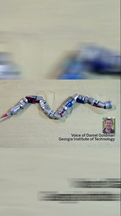 SnakeBot | Snake Robot 2022 | Robot Snake | Robots | Cool Robots | Youtube Shorts 2022 ...