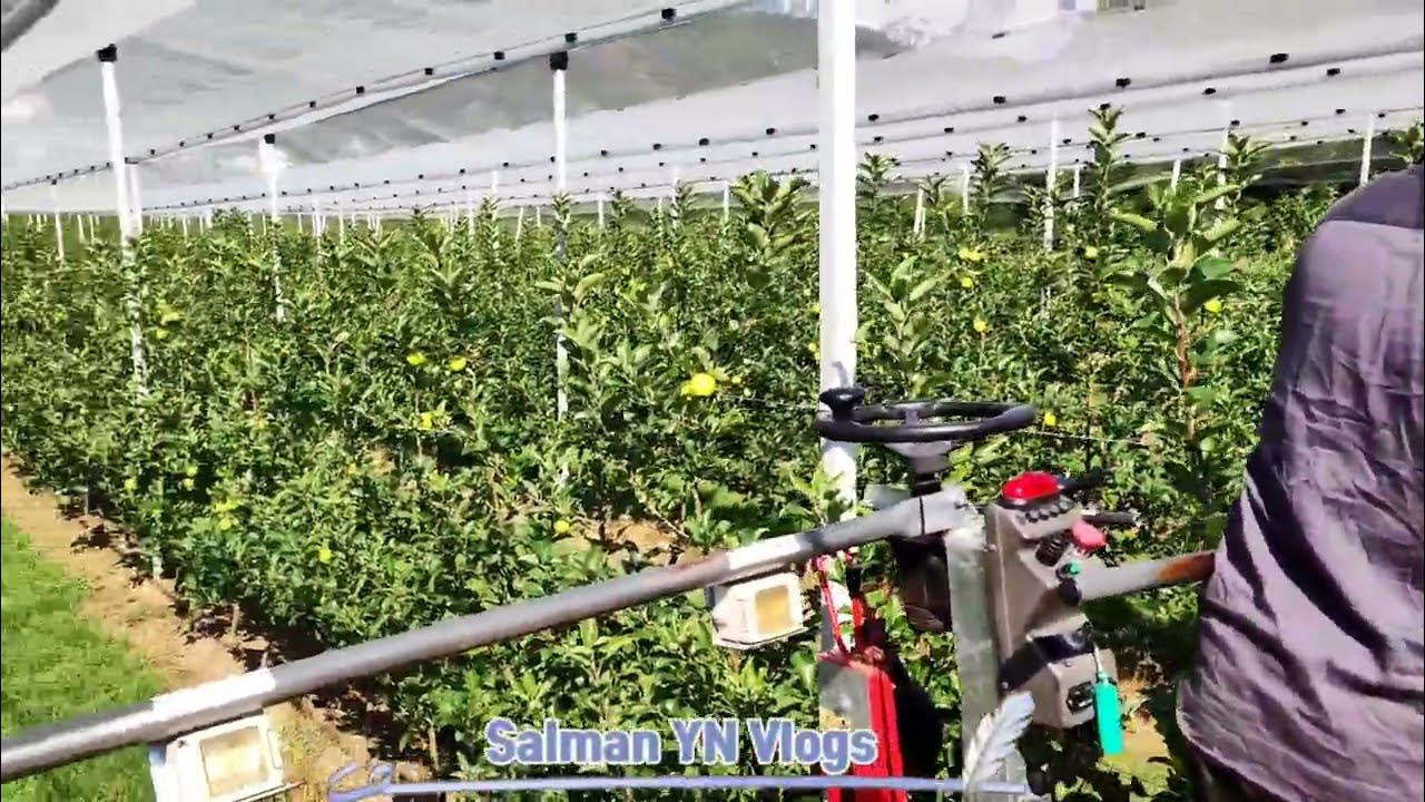 APPLE WORK IN ITALY SALMAN YN VLOGS YouTube apple-work-in-italy-salman-yn-vlogs-youtube