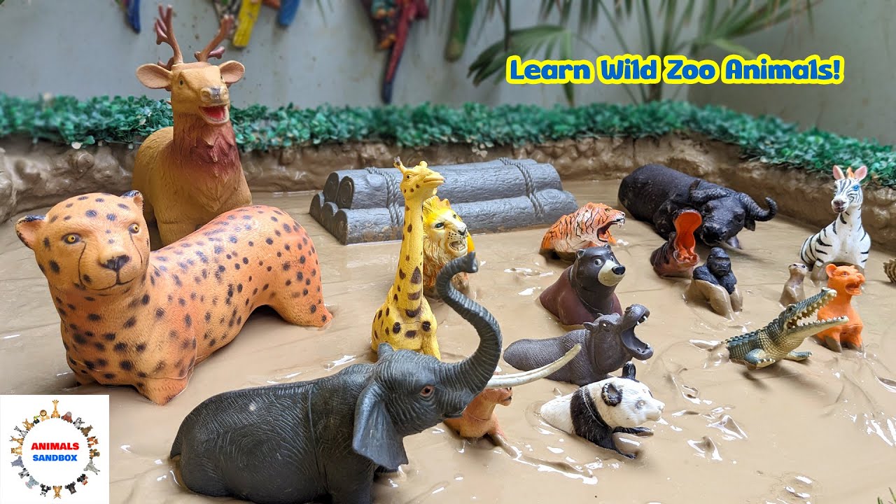 Fun Learning Wild Zoo Animals with Ryan | Kids Videos for Kids ...