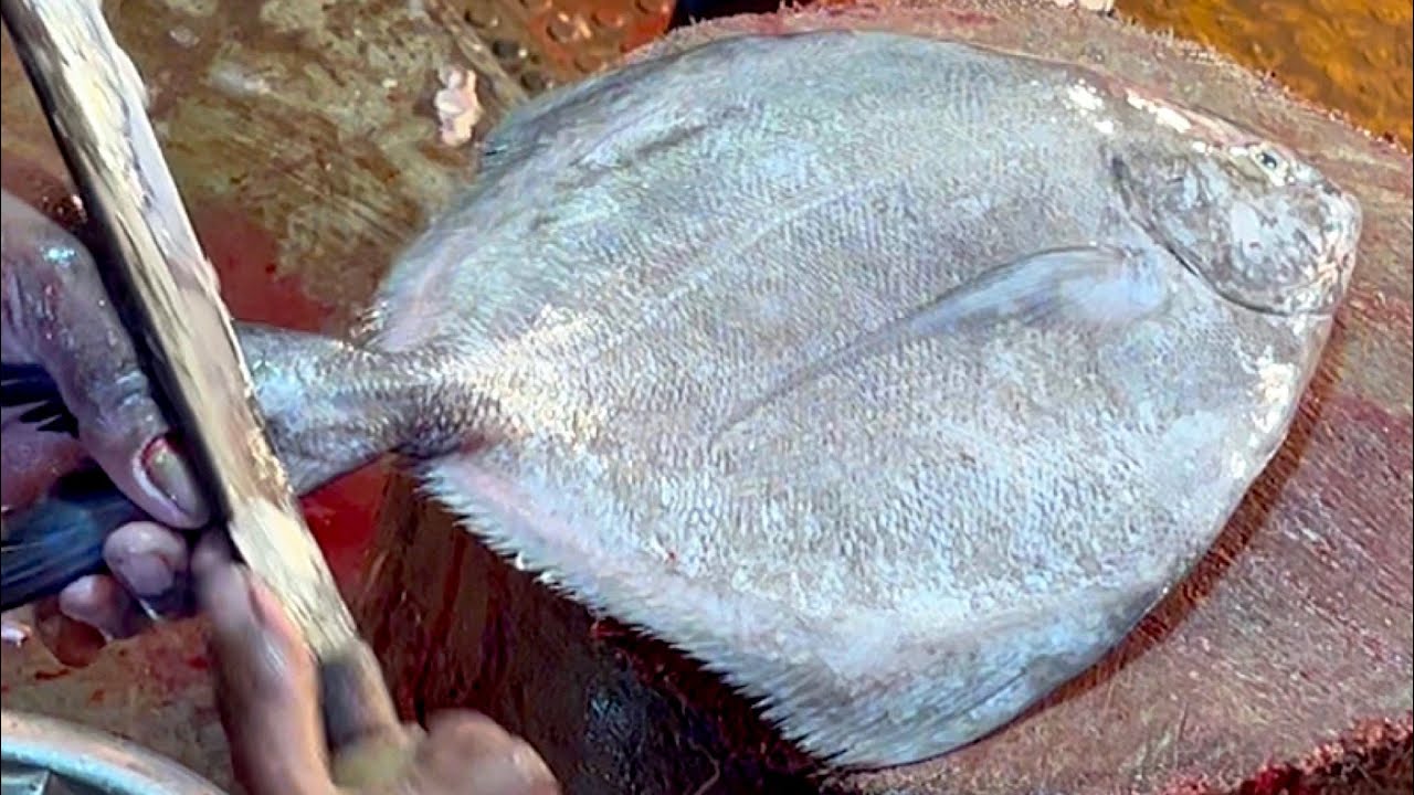 Best Cutting Style | Big Black Pomfret Fish Cutting Live In Bangladesh ...