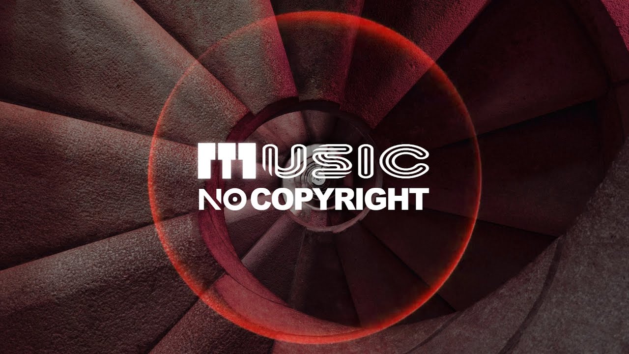 Imagine zoo | No Copyright Background Music for Vlog | Free Background ...
