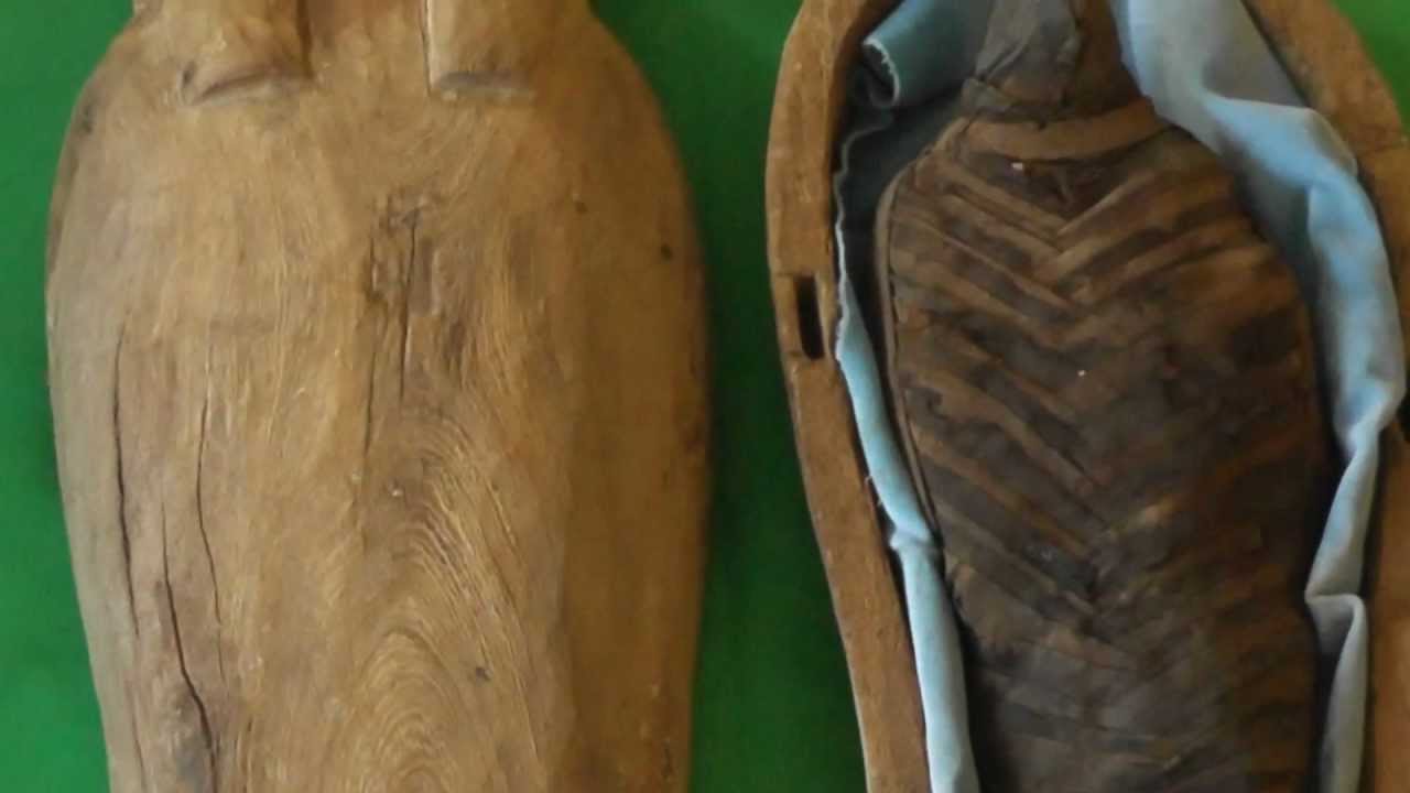 Mummified Egyptian Falcon - YouTube