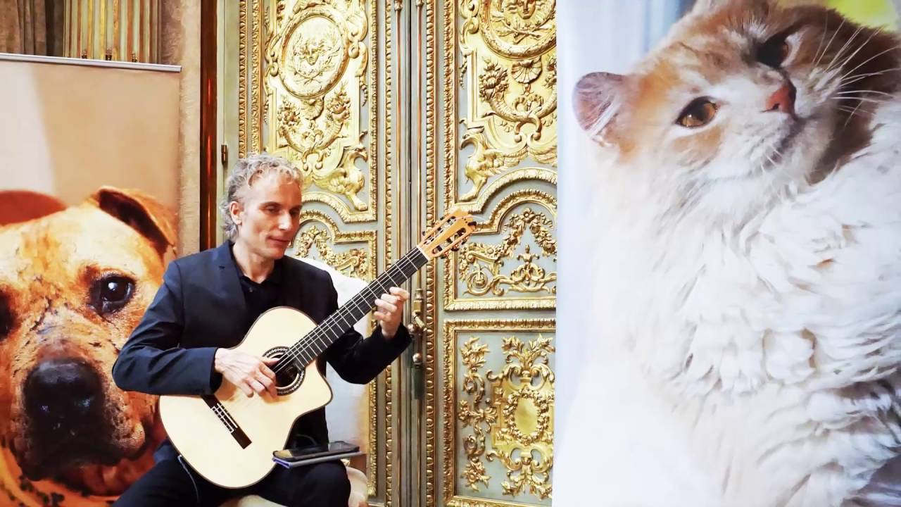 Guitar - Live Performance - Variety - YouTube