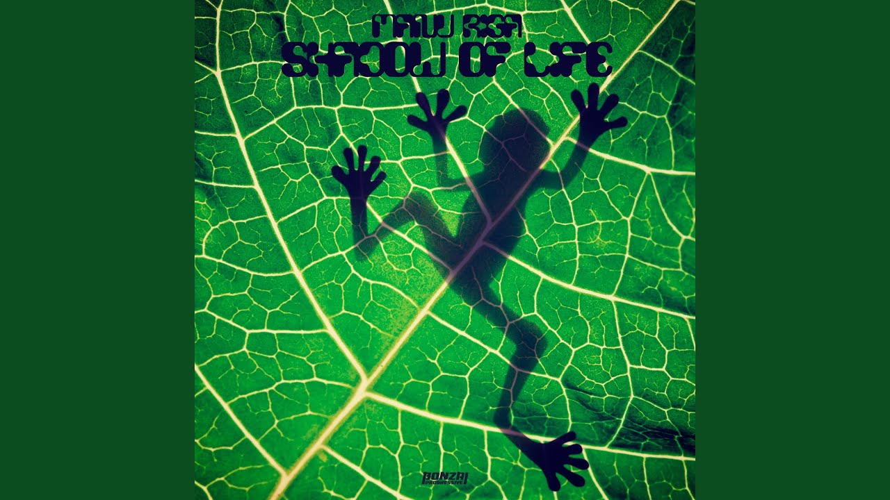 Shadow Of Life (Original Mix) - YouTube