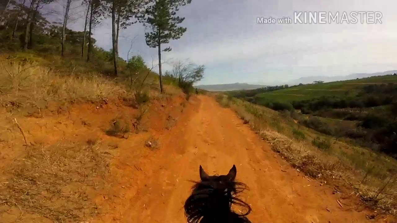GoPro Horse Trail Ride - YouTube