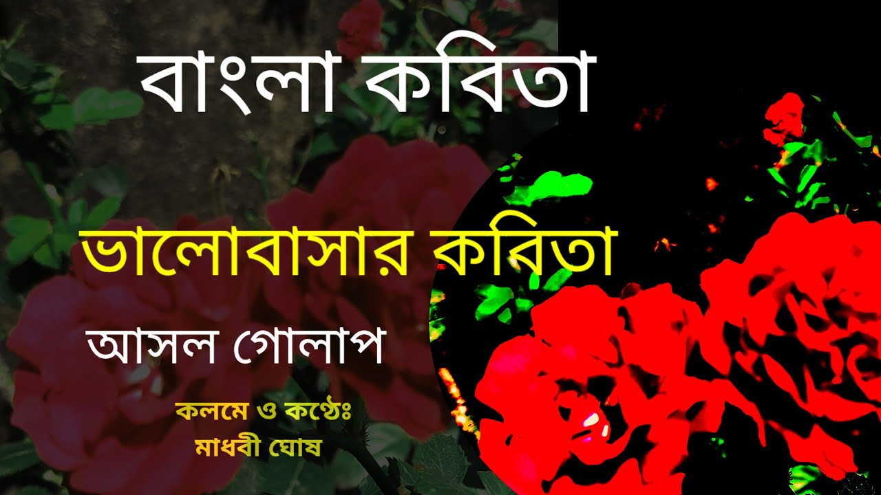 আসল গোলাপ || ভালোবাসার কবিতা||কলমে ও কণ্ঠেঃ মাধবী ঘোষ|| Madhabi Ghosh @Kabbo-Katha - YouTube