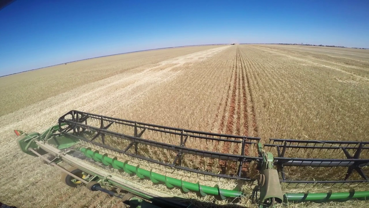 Harvest 2016 at Wyalong Farm - YouTube