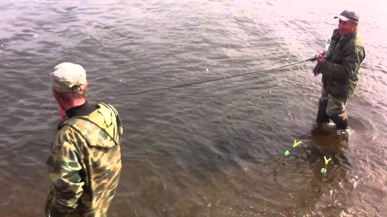 Ribalka na urale - YouTube