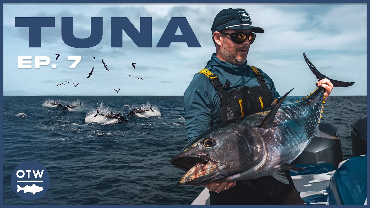 CATCHING TUNA from Top to Bottom | S22 E07 - YouTube