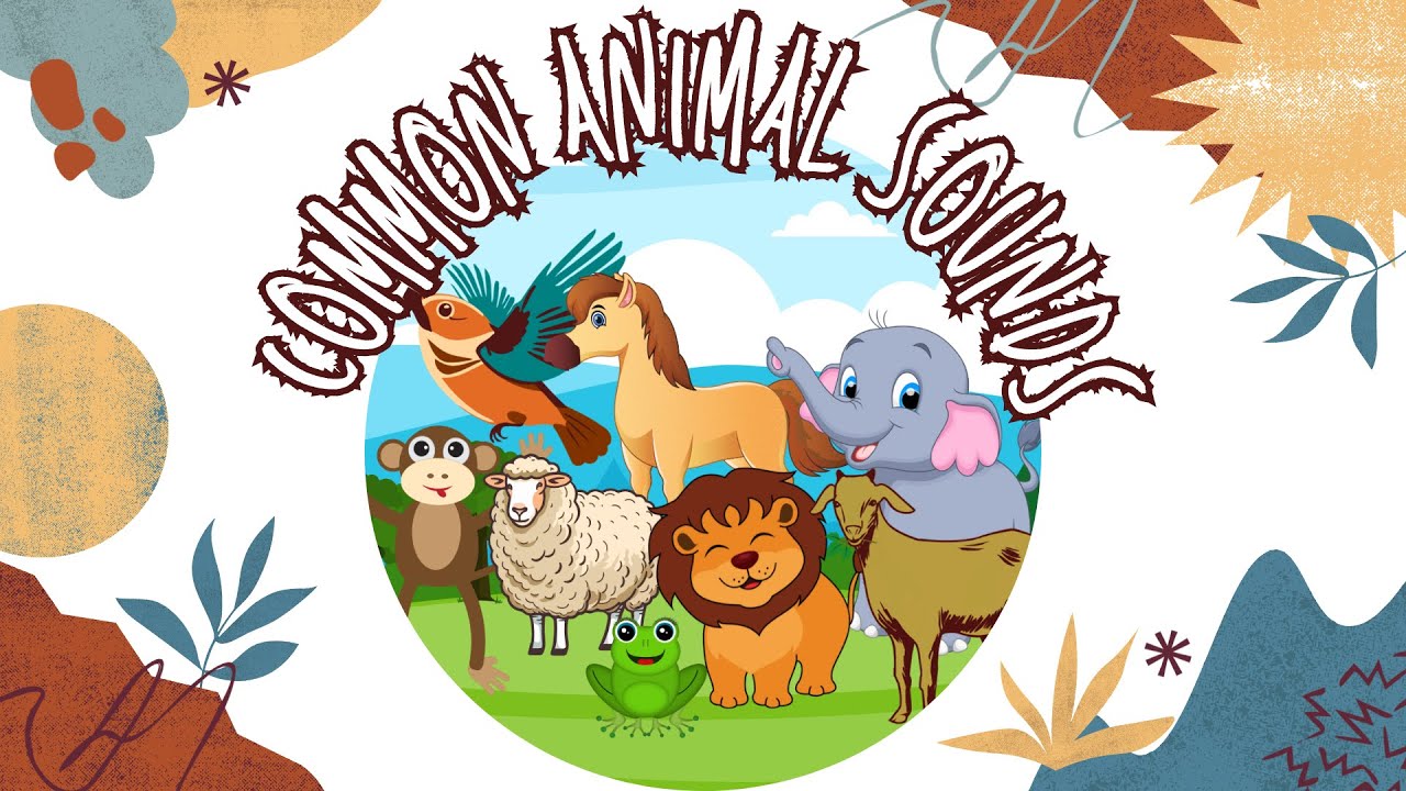 Learn Animal Sounds: A Compilation of Common Animal Noises for Ultimate ...