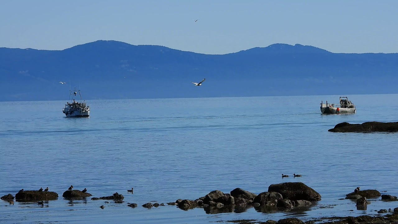 march 18 2019 12:06 - setting gill net - YouTube