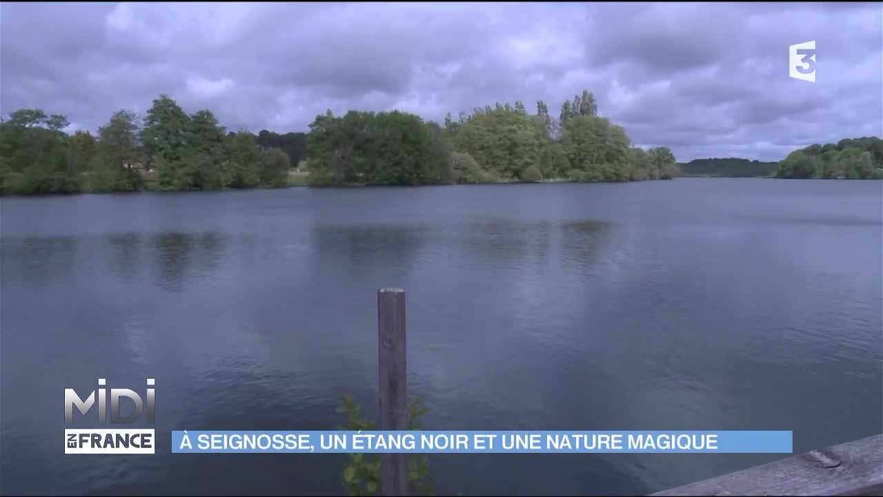 A Seignosse, un étang noir et une nature magique - YouTube