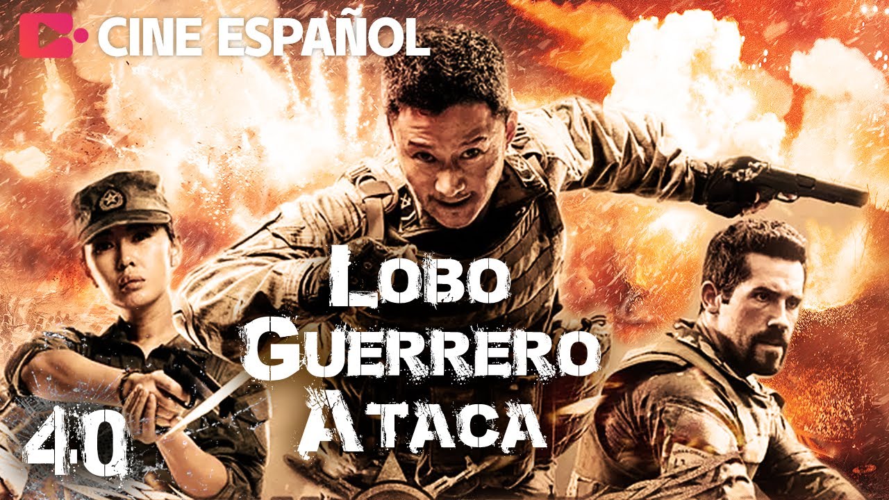 [FIN] Fuerza Especial China, lobo de guerra defiende su honor | Lobo ...