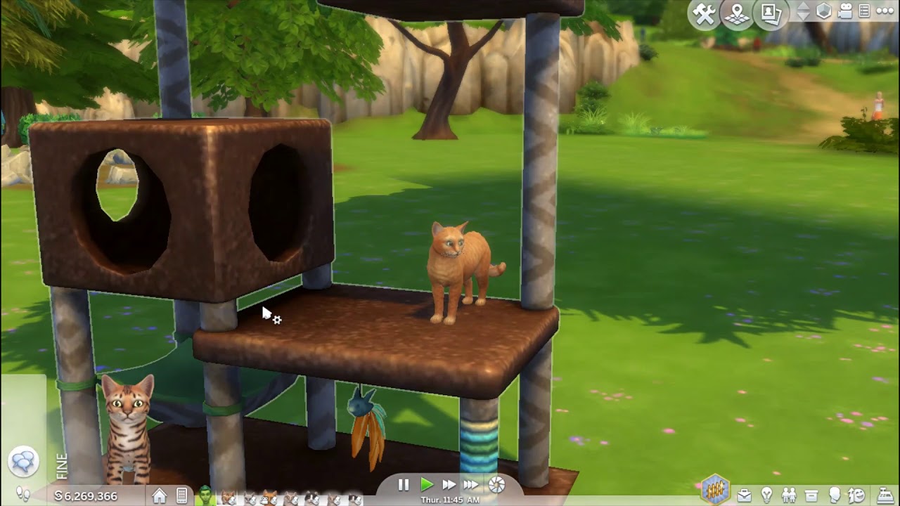 Warrior Cats Sims 4 Challenge: Episode #11: Rescuing a Queen and Kits ...