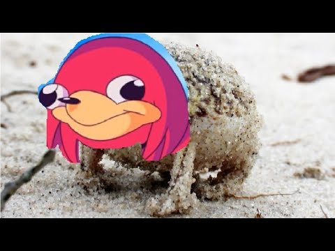 Angry Uganda Knuckles - YouTube