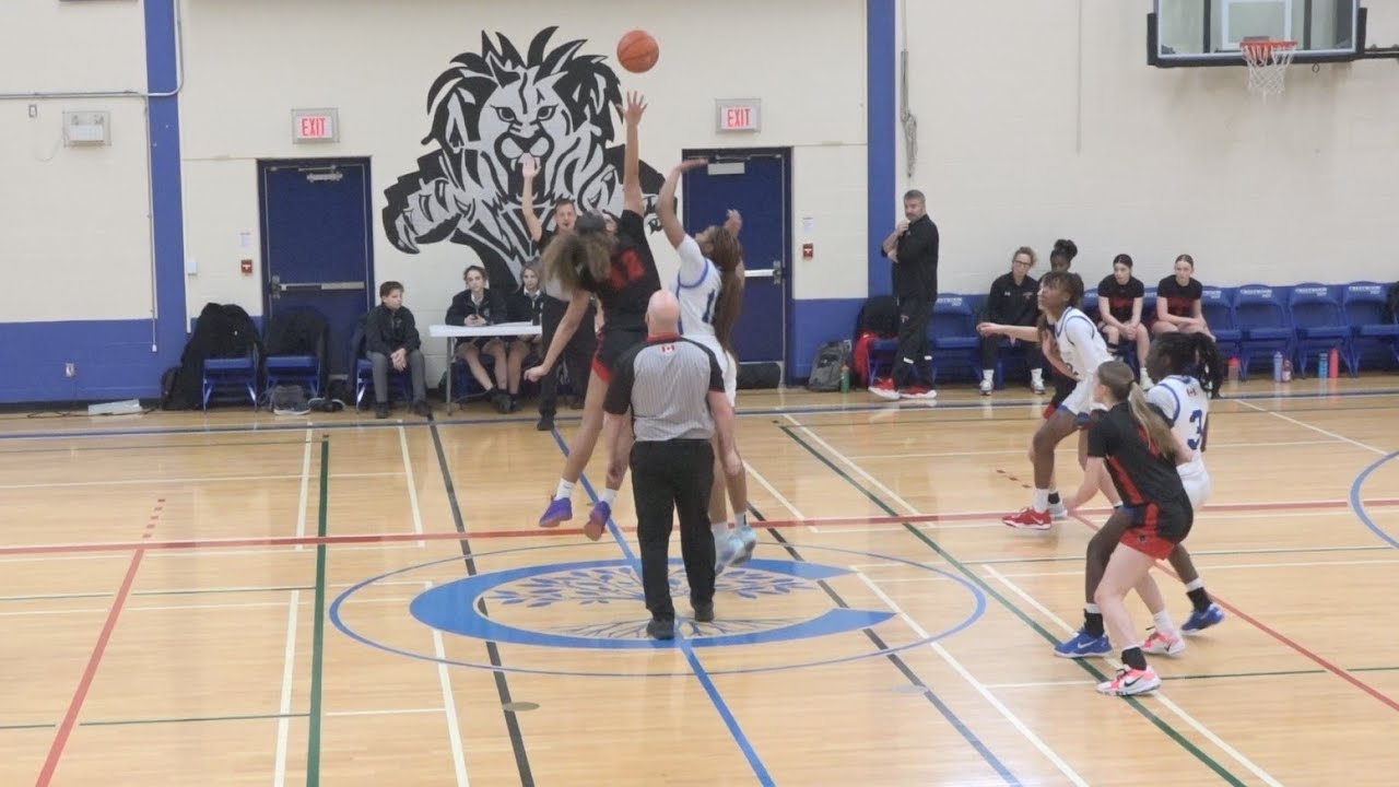mlk dream showcase | ssf blizzard at crestwood prep - YouTube