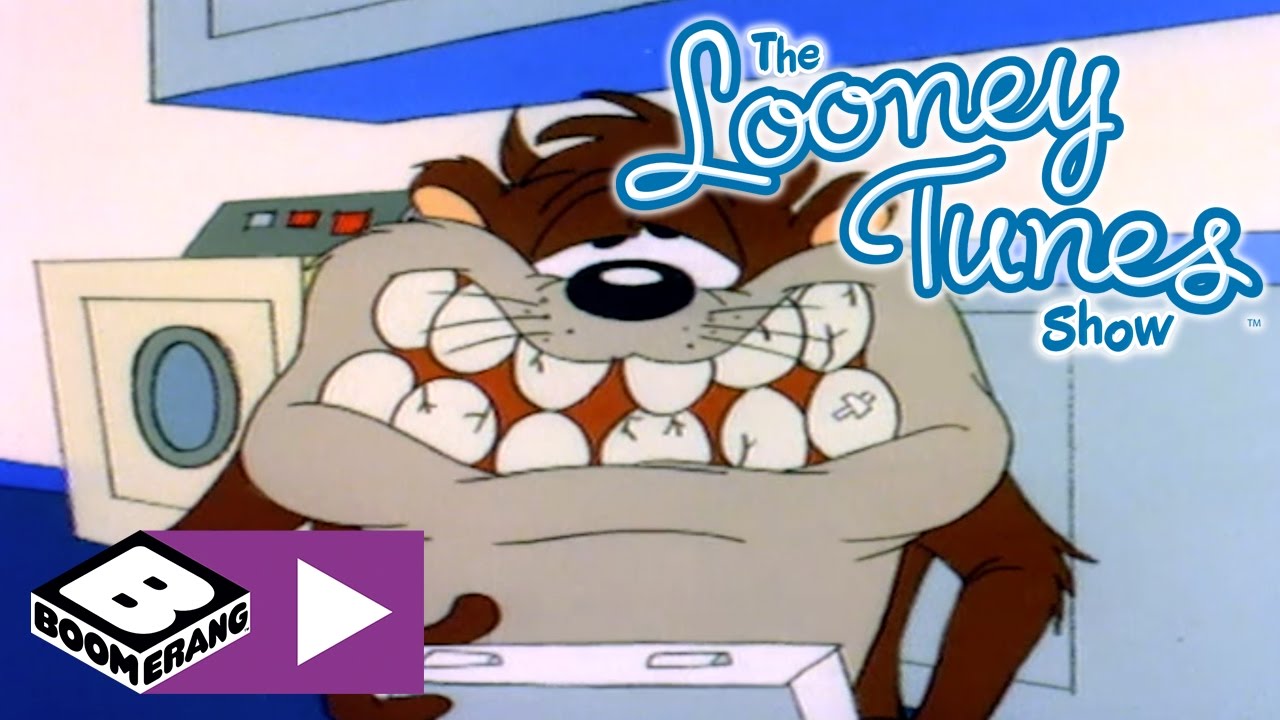 Taz-Mania | Platypus Kardeşler | Boomerang - YouTube