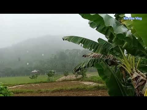 Maulang araw sa lahat | Rainy Season in Mindanao 🇵🇭 | Kis-Che Vlog - YouTube