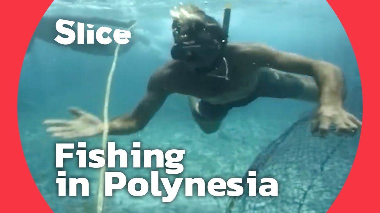 Polynesian fishing: From the ocean to Papeete’s market | SLICE - YouTube