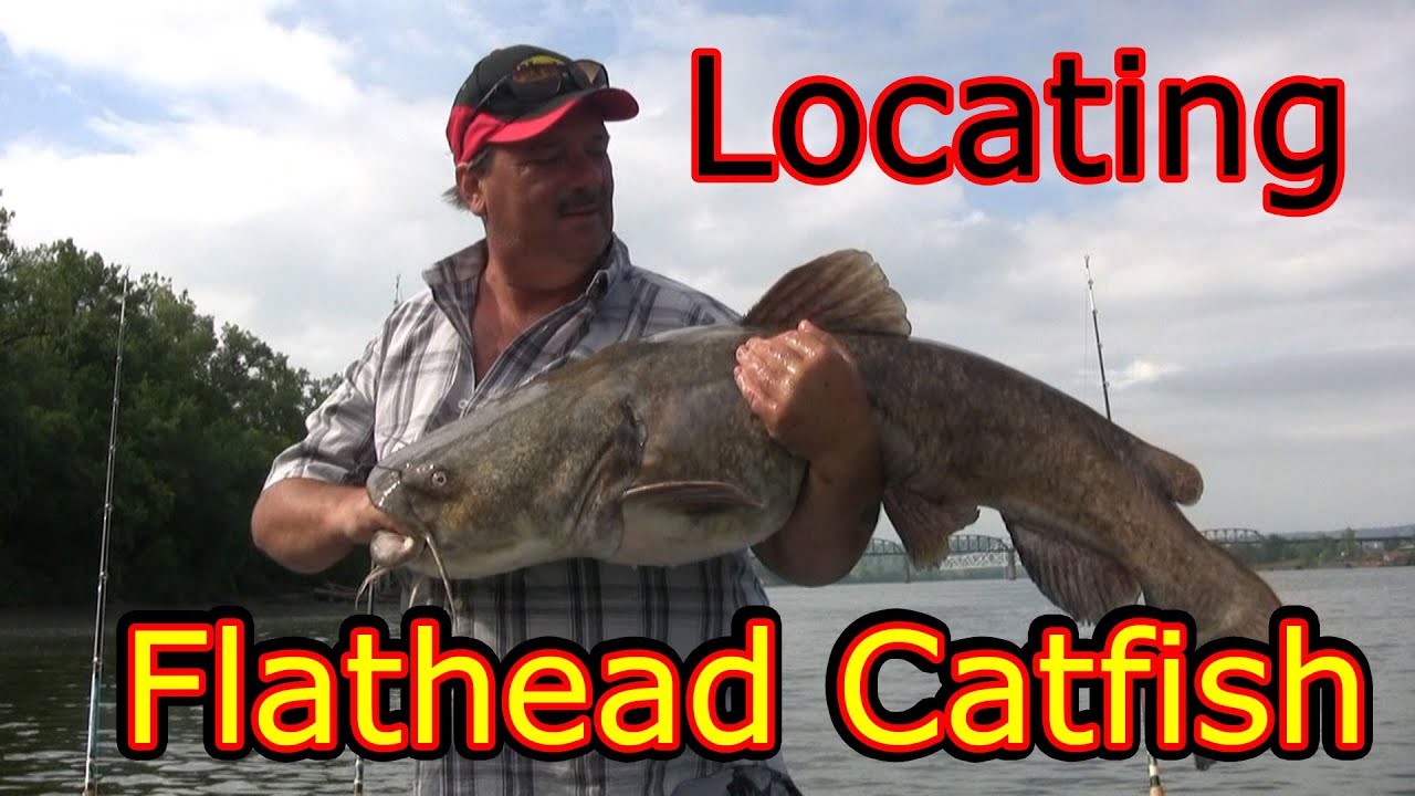 Monster rod holders presents: Where to catch flathead catfish in rivers ...