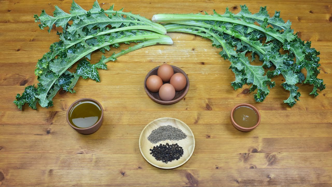 Ancient Roman Milk Thistle - YouTube