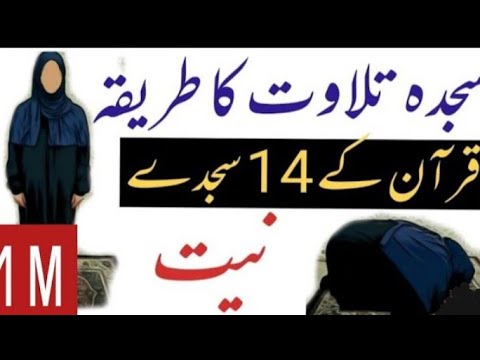 Sajda tilawat|sajda tilawat ka tarika in pashto |quran ke sajde karne ka tarika sajda in Quran para