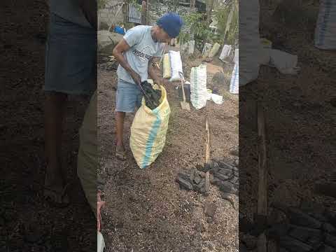 Pamamaraan sa pag Uuling - YouTube