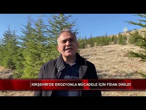 Kırşehir’de erozyonla mücadele için fidan dikildi