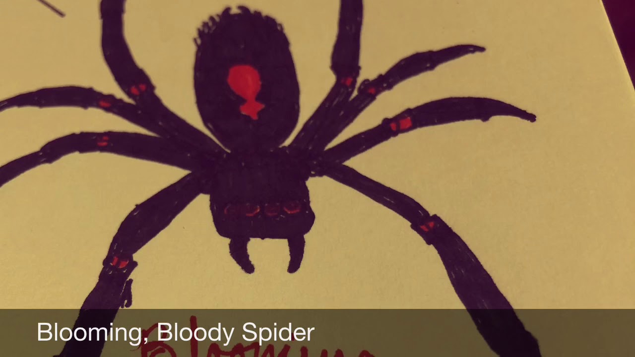 The Blooming, Bloody Spider- A Song - YouTube