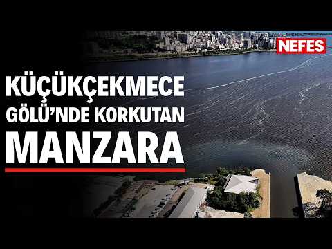 Küçükçekmece Gölü’nde korkutan manzara