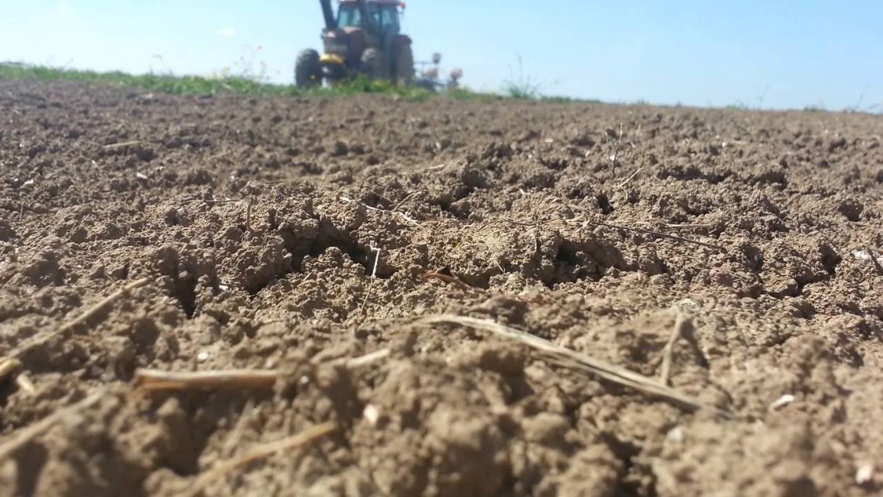 la semence de mais 2016 - YouTube