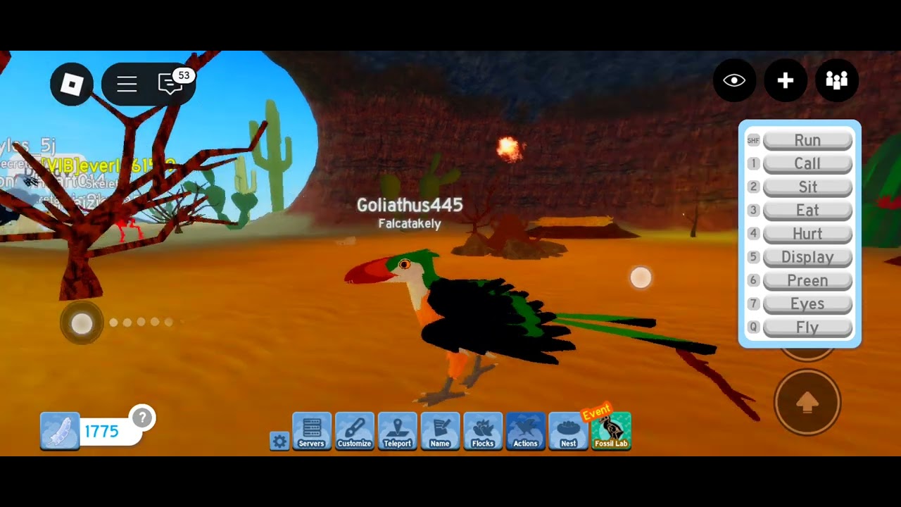 NEW Falcatakely bird! - YouTube