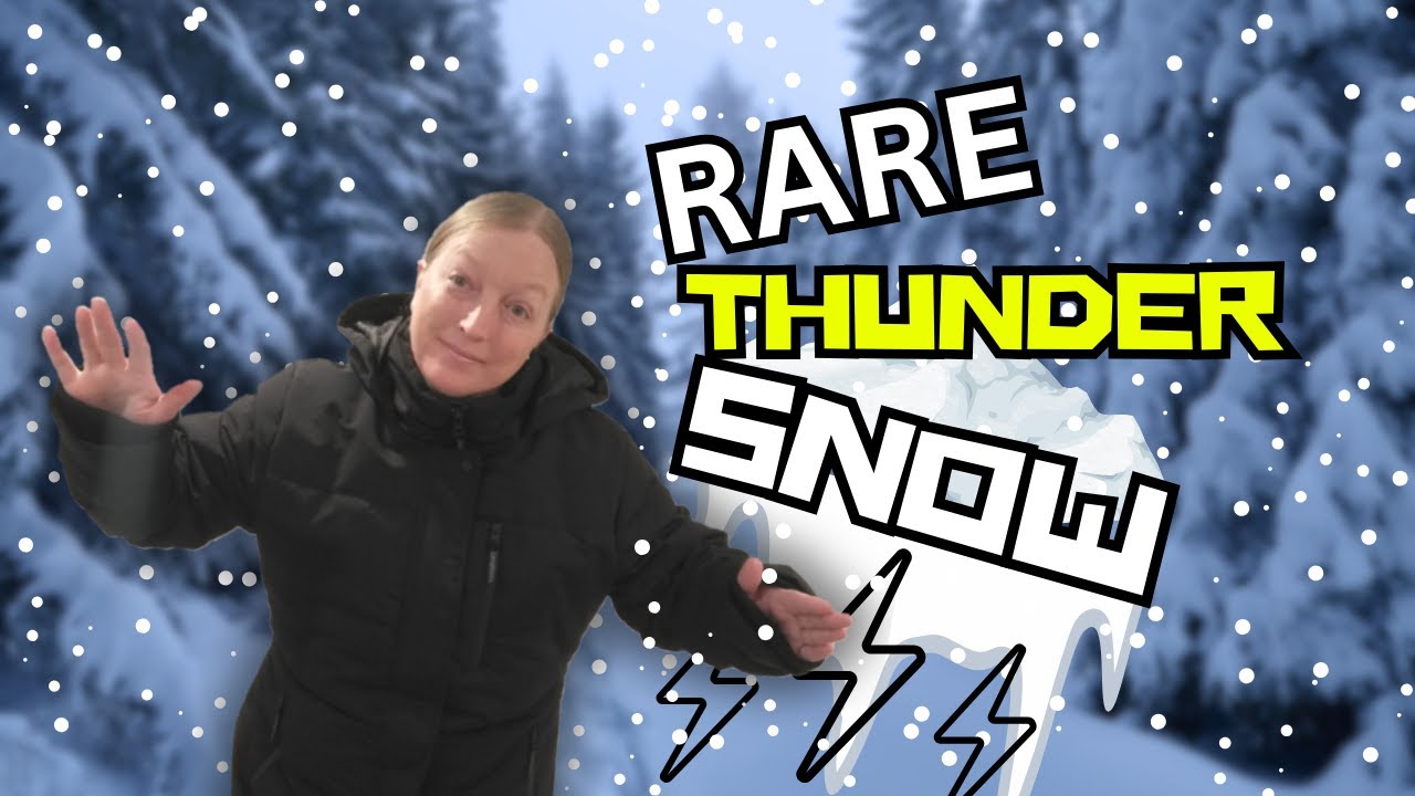 RARE😱Thundersnow Storm! It was blizzard like at times. Snow, Wind ...