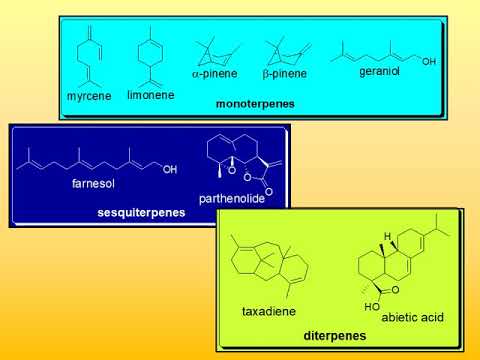 31 Terpenes and Terpenoids - YouTube