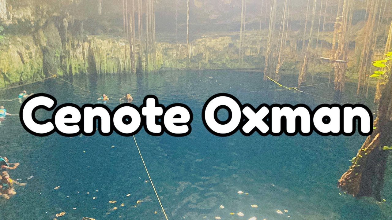 Travel Vlog: Cenote Oxman, Valladolid Yucatan Mexico - YouTube