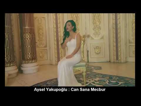 AYSEL YAKUPOĞLU : CAN SANA MECBUR