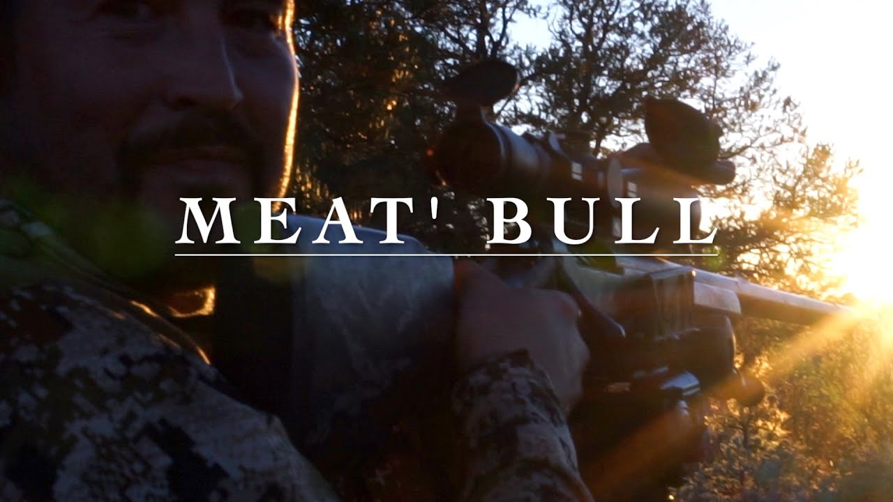MEAT' BULL - Arizona Bull Elk (Early Rifle Hunt) - YouTube