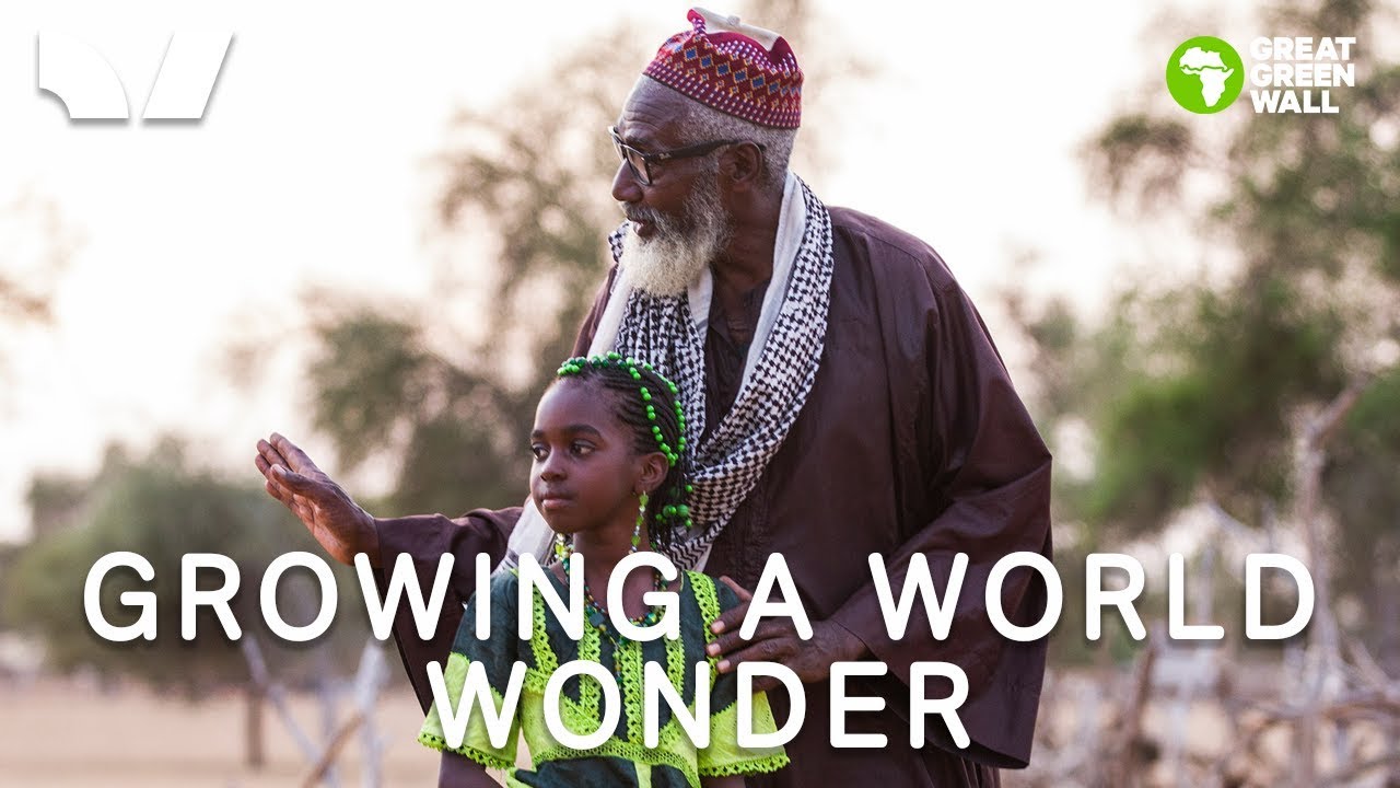 Growing A World Wonder - 360 Short Documentary - YouTube